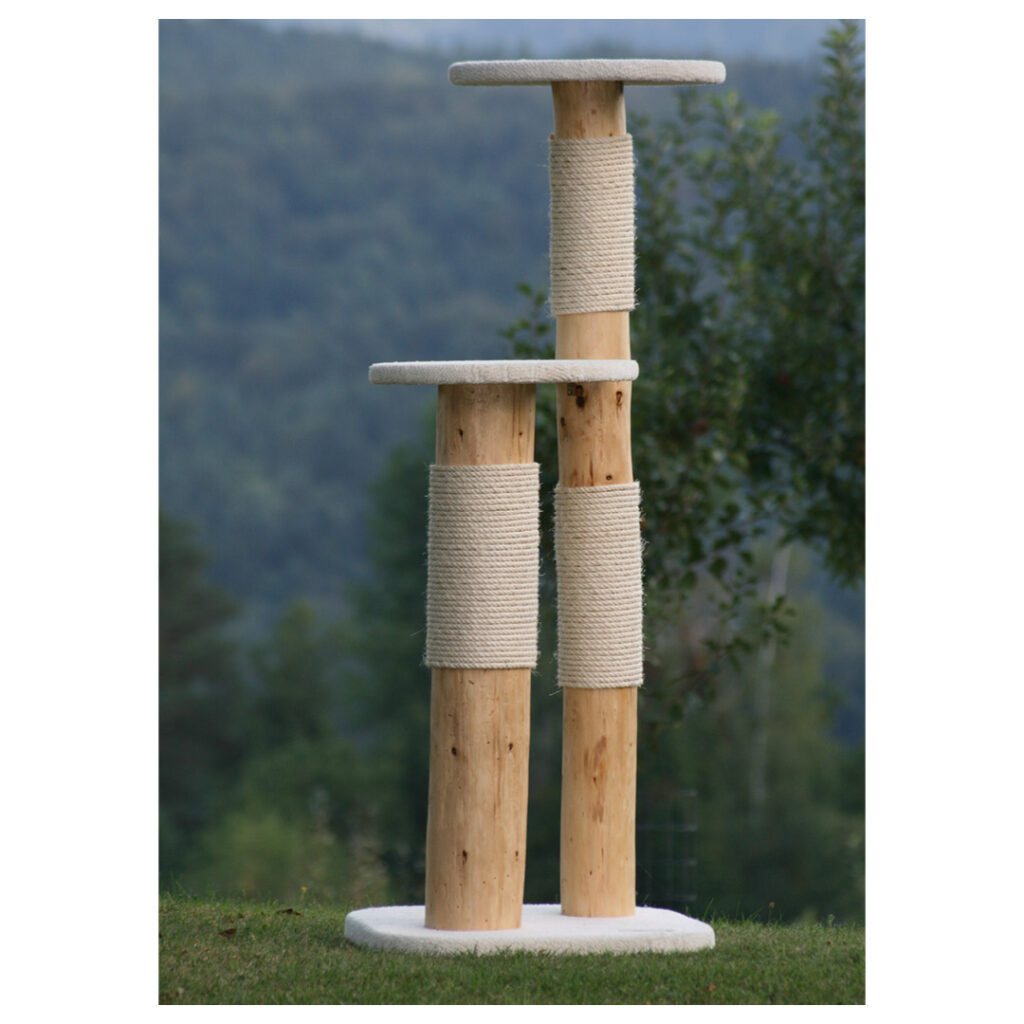 catzup double | FiWe - Naturkratzbaum für Katzen, Kratzbaum mit ...